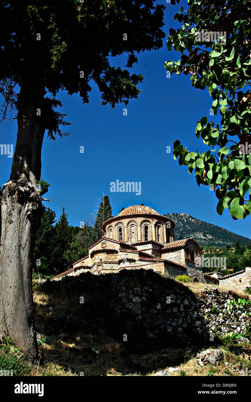 Sparte antique Banque de photographies et d’images à haute résolution ...