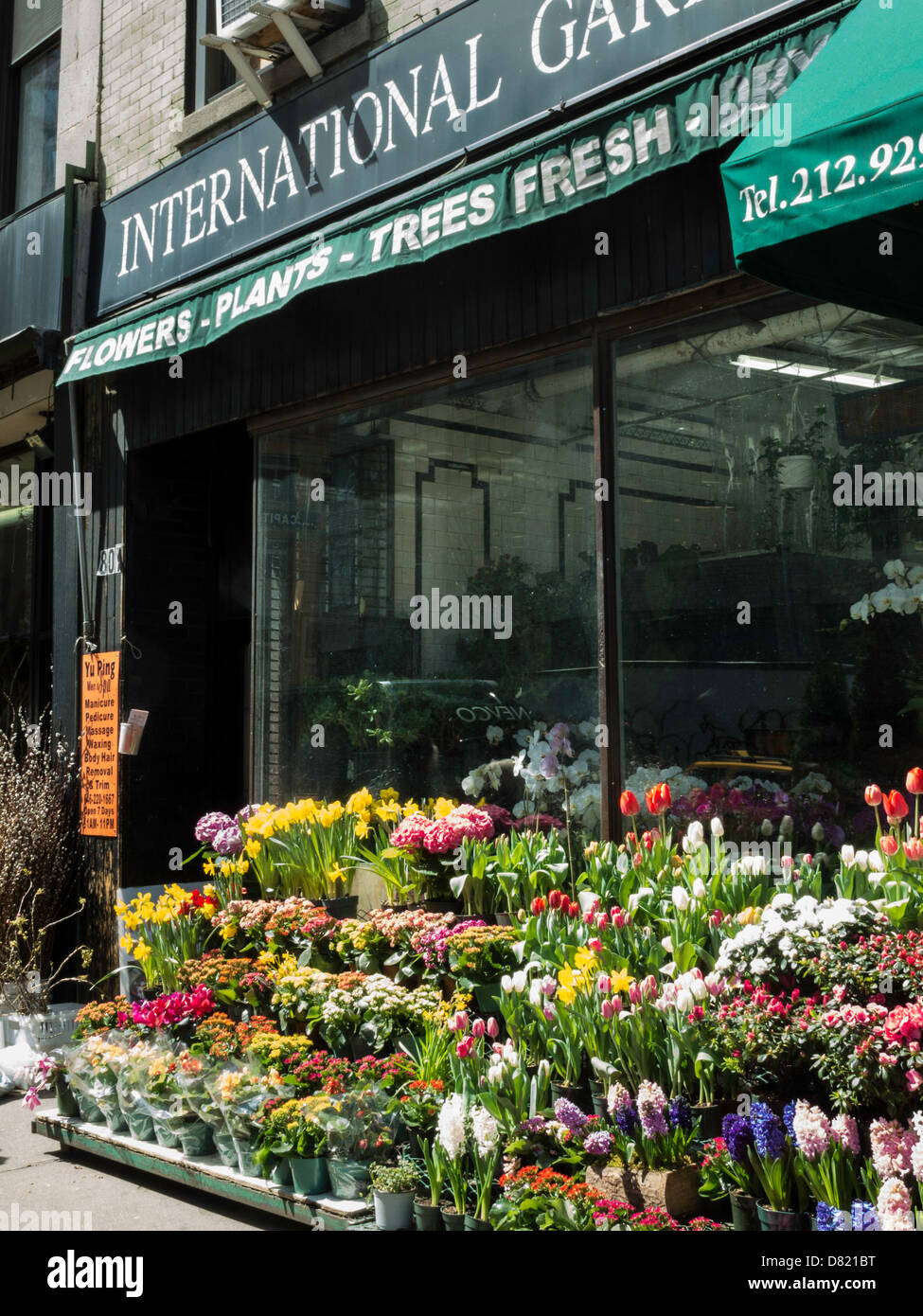 Fleuriste traditionnel Banque de photographies et d’images à haute ...