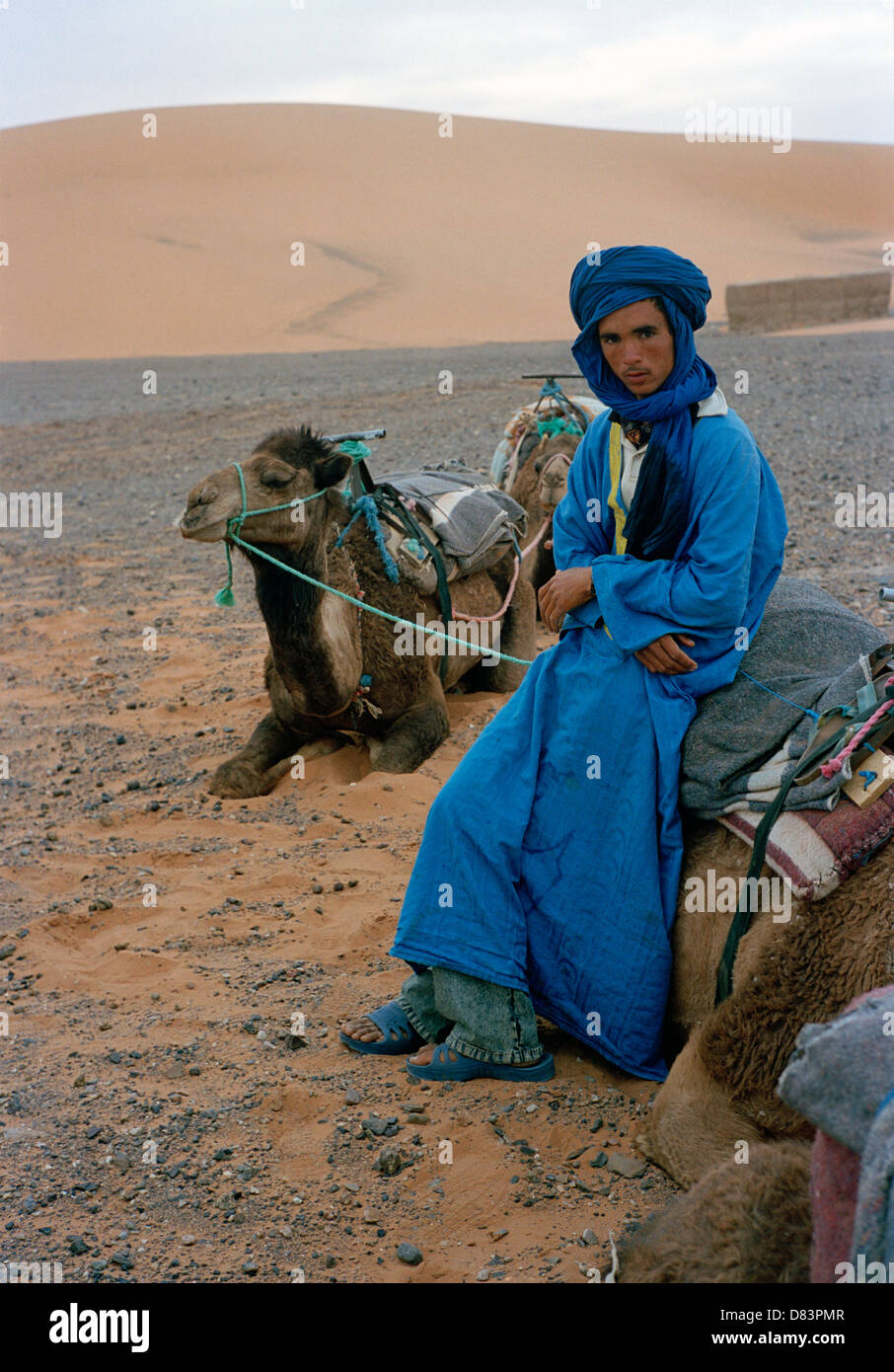 Touareg, peuple berbère avec le chameau, le désert du Sahara, l'Afrique ...