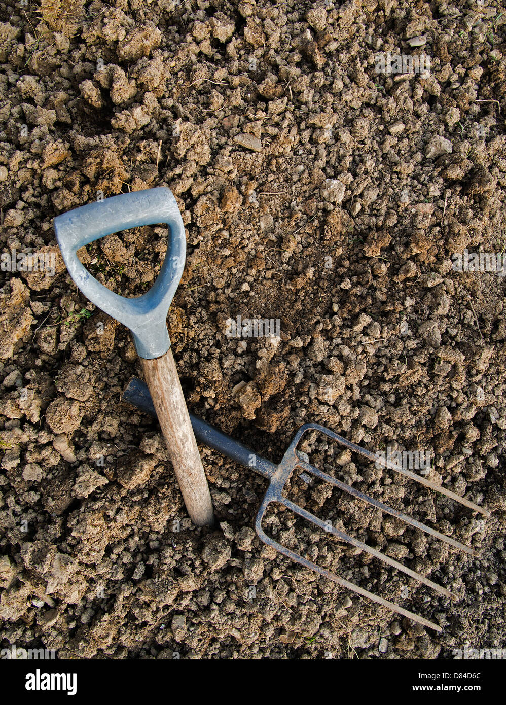 Sol rocailleux Banque de photographies et d’images à haute résolution ...