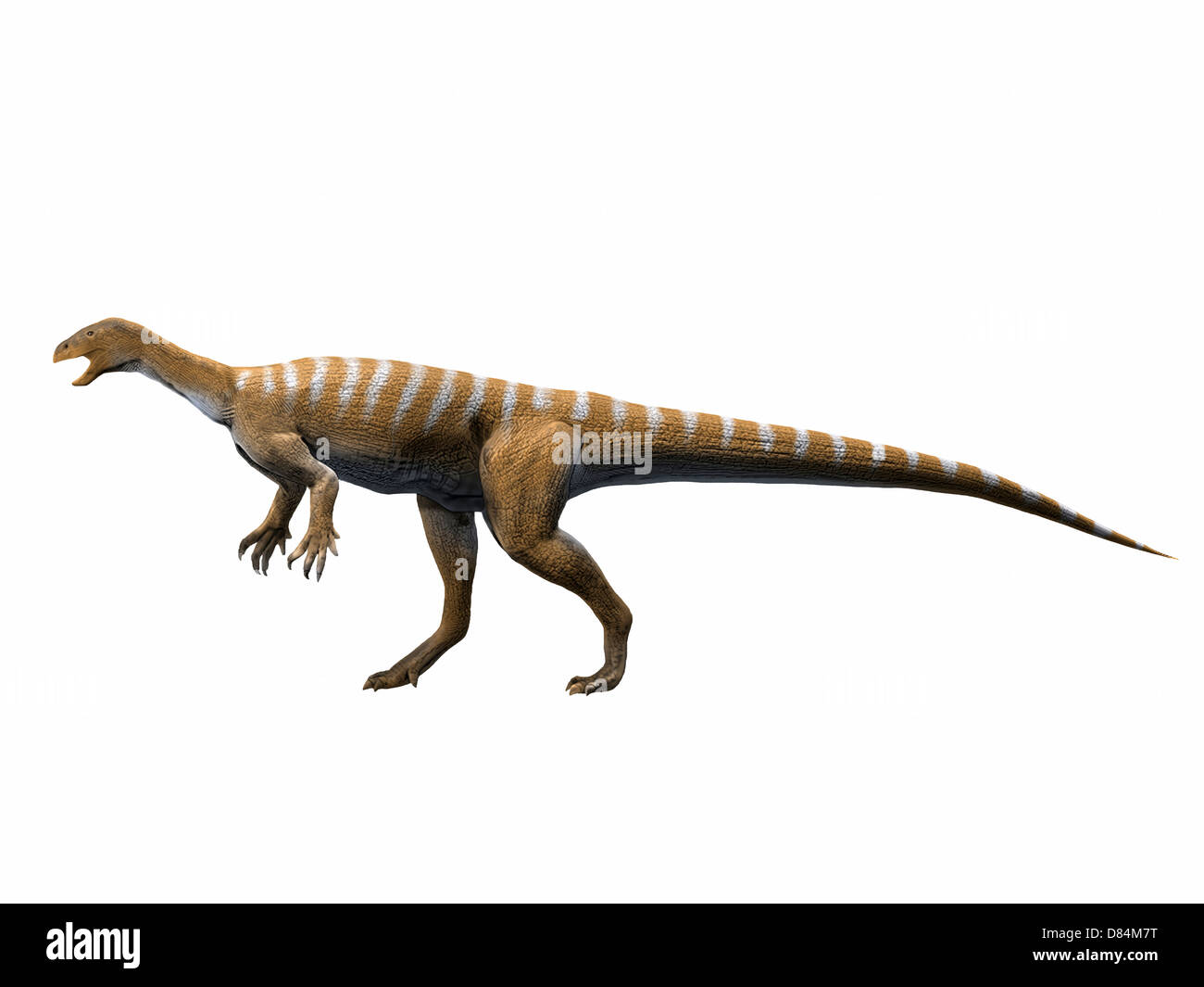 Dinosaur claw Banque d'images détourées - Alamy