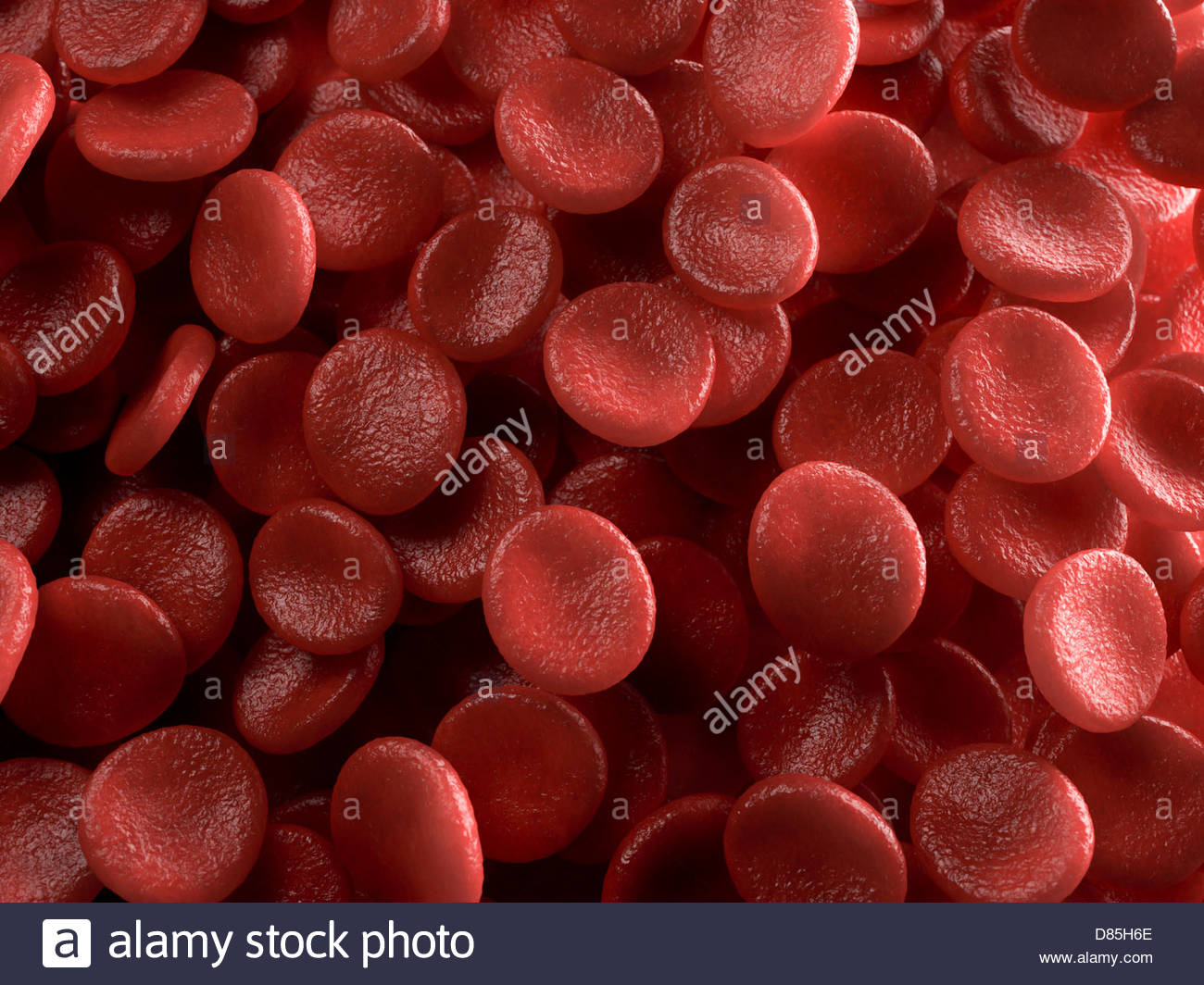 Cells Erythrocytes Photos & Cells Erythrocytes Images - Alamy