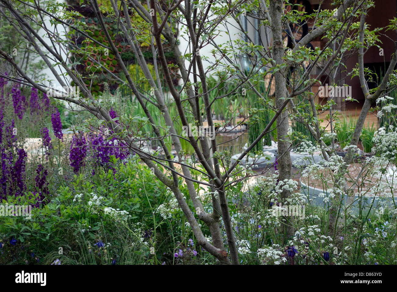 Nigel dunnett garden Banque de photographies et d’images à haute ...