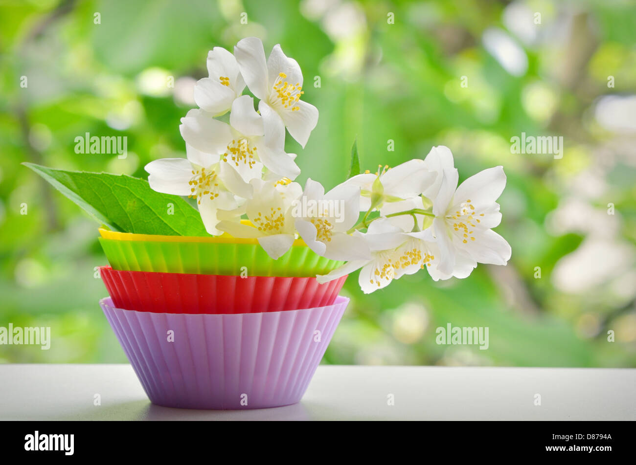 Pousse pousse de fleurs Banque de photographies et d’images à haute ...