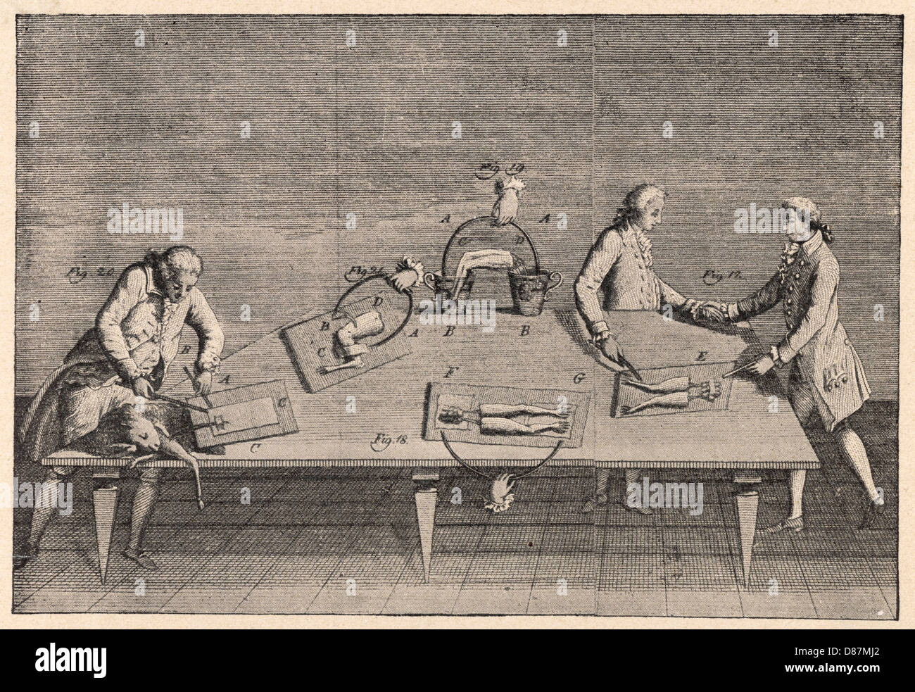 Statique électrique Banque de photographies et d’images à haute ...