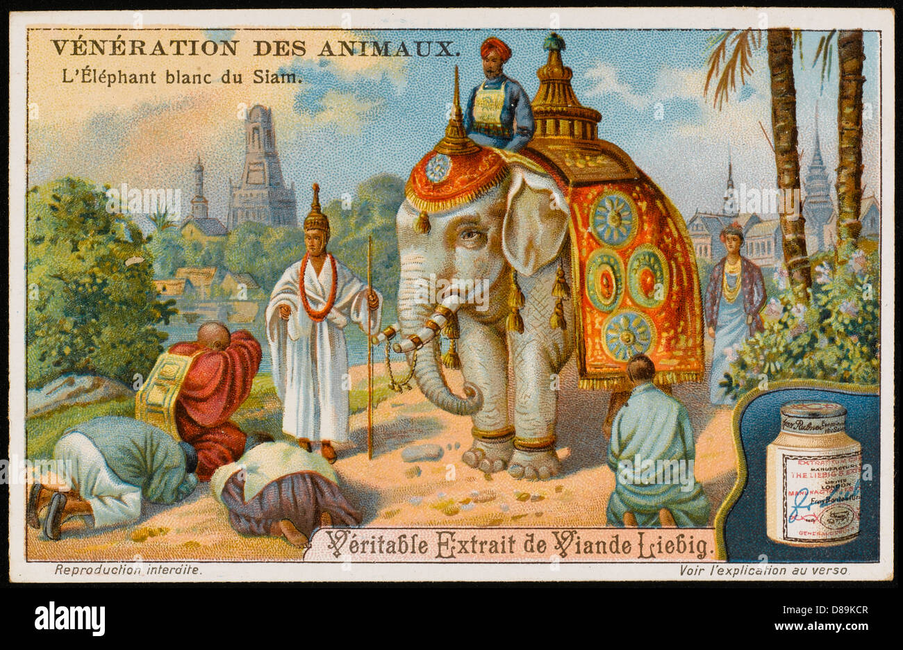 L'éléphant blanc Siam Photo Stock - Alamy