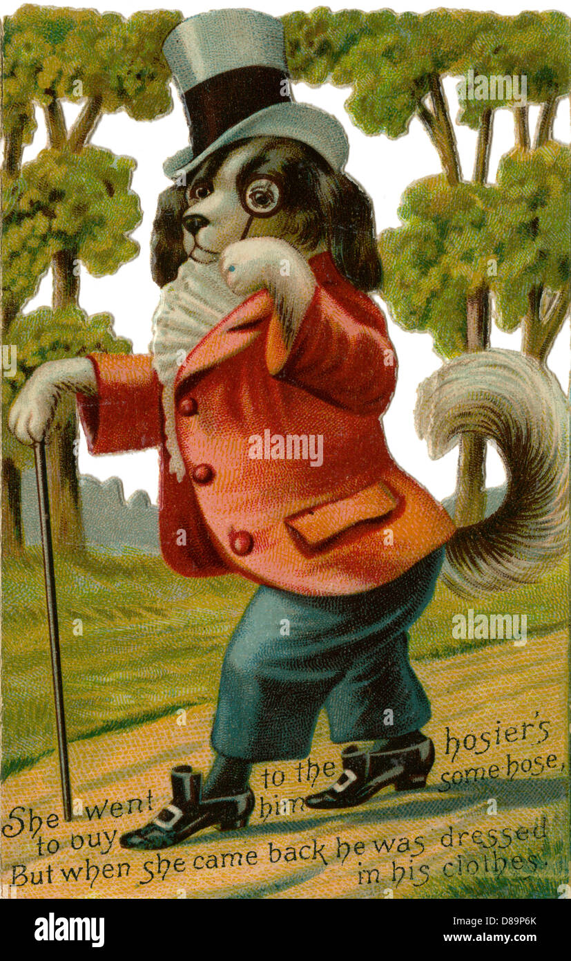 Tuck tuck Banque de photographies et d’images à haute résolution - Alamy