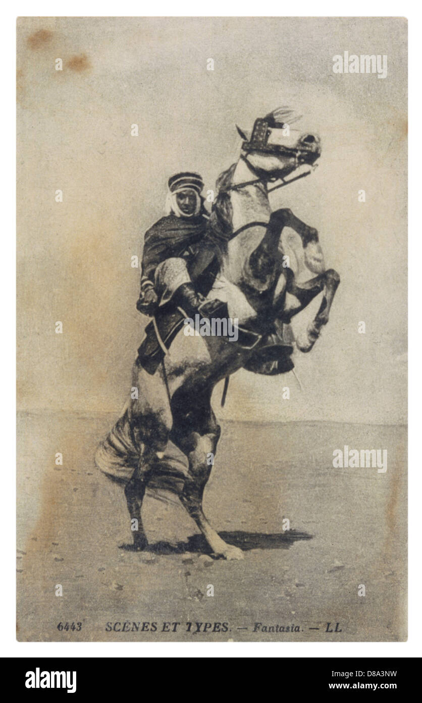 Arabe cavalier Banque de photographies et d’images à haute résolution ...