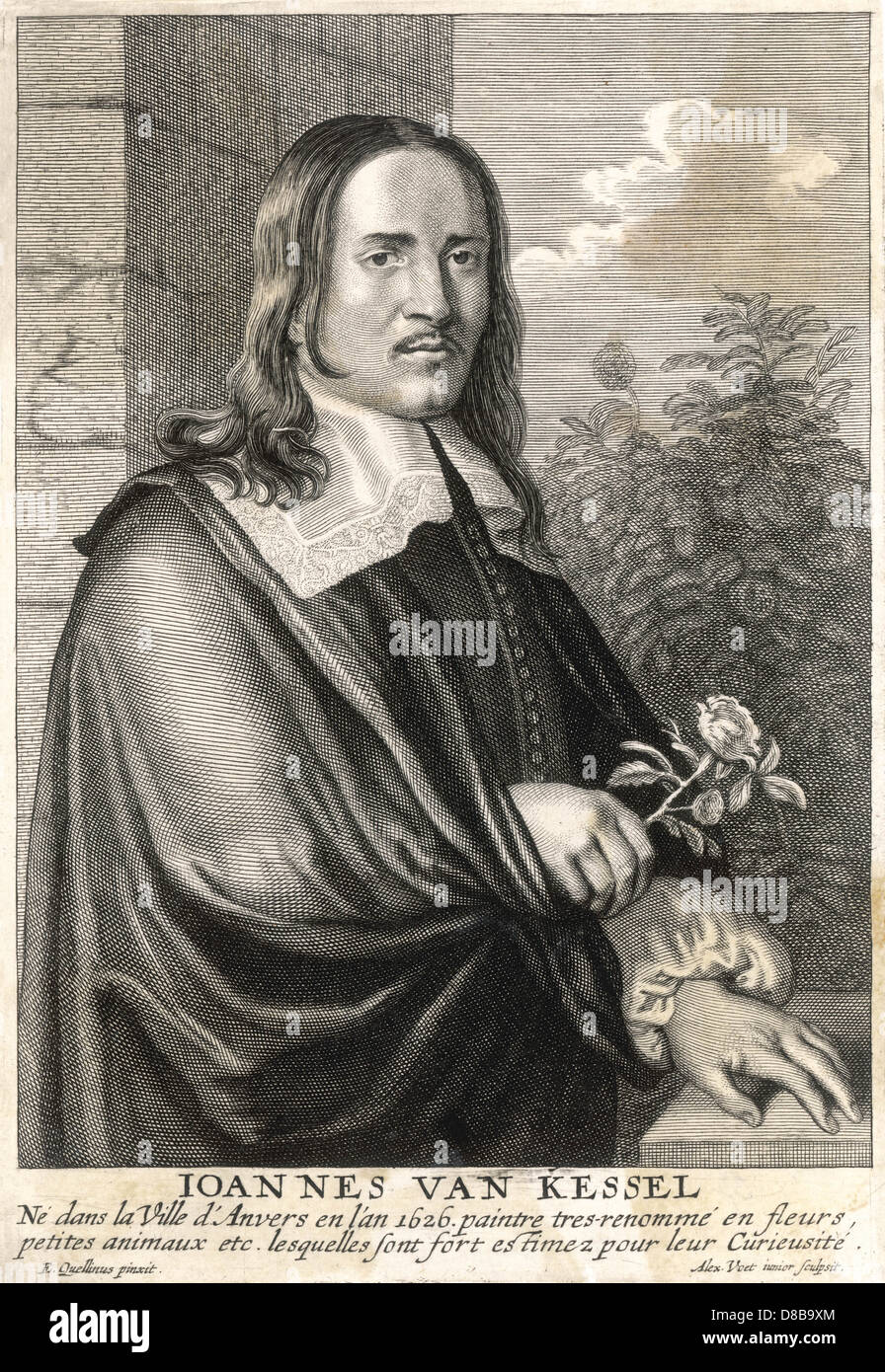 Jan van kessel Banque de photographies et d’images à haute résolution ...