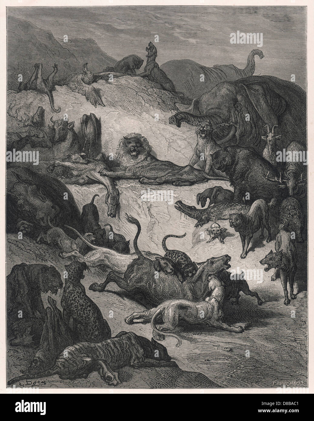 Animaux malades de la peste Banque de photographies et d’images à haute ...