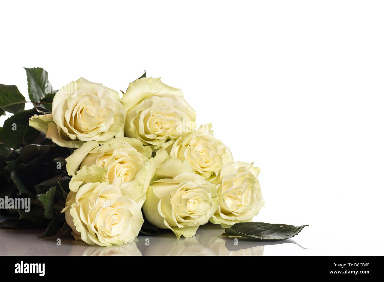 Belles roses Banque de photographies et d’images à haute résolution - Alamy