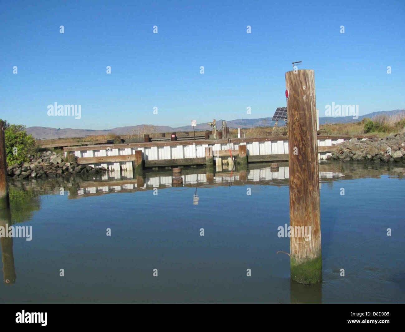 Cette image montre un slough, un plan d'eau peu profond avec un ...