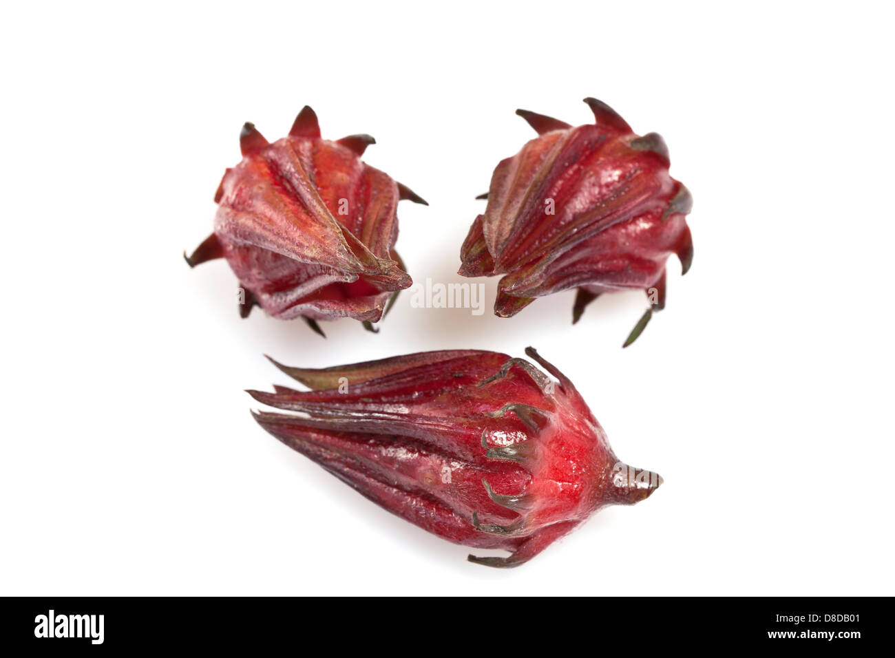 Roselle fruit Banque de photographies et d’images à haute résolution ...