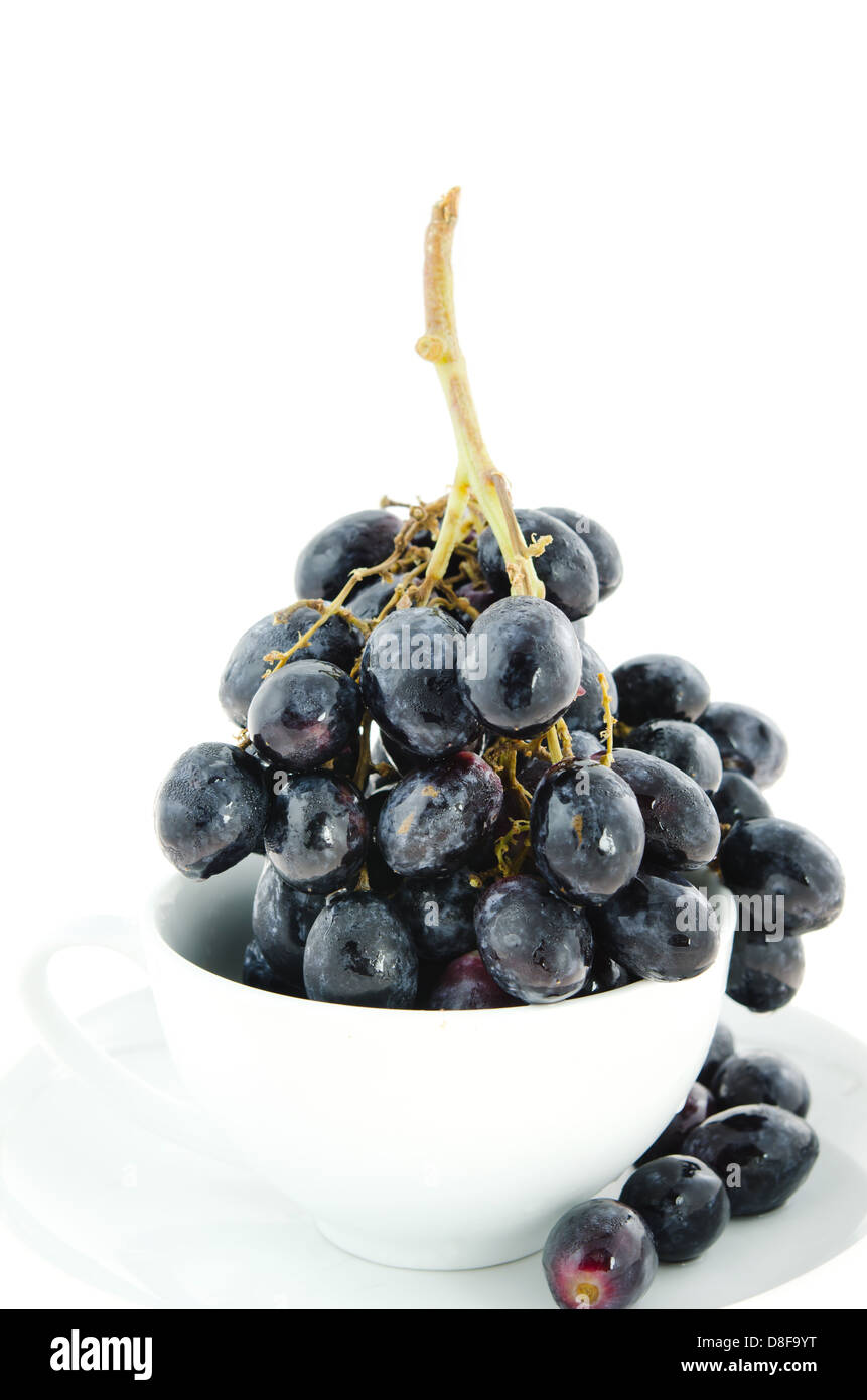 Fruits de solanum nigrum Banque d'image et photos - Alamy