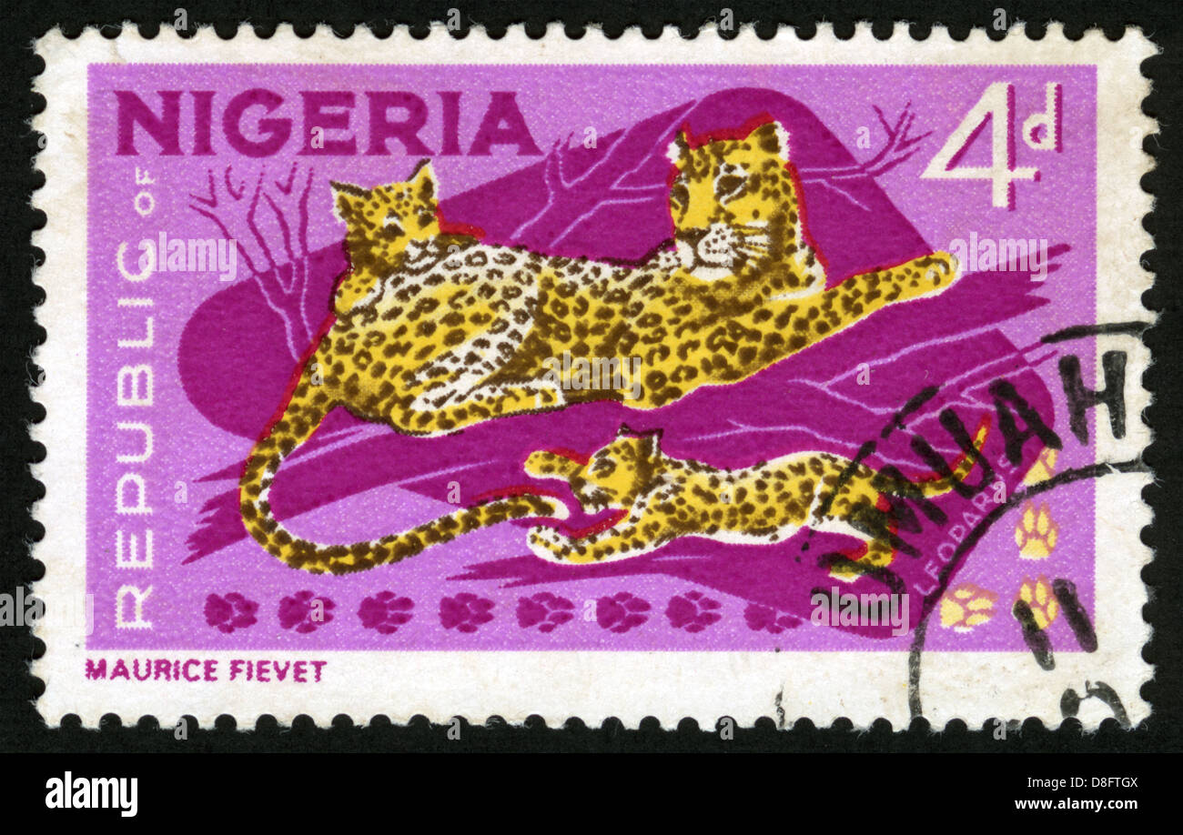 Leopard nigeria Banque de photographies et d’images à haute résolution ...