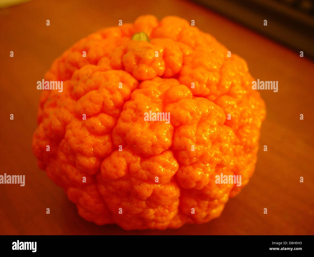 Wanneroo Banque de photographies et d’images à haute résolution - Alamy