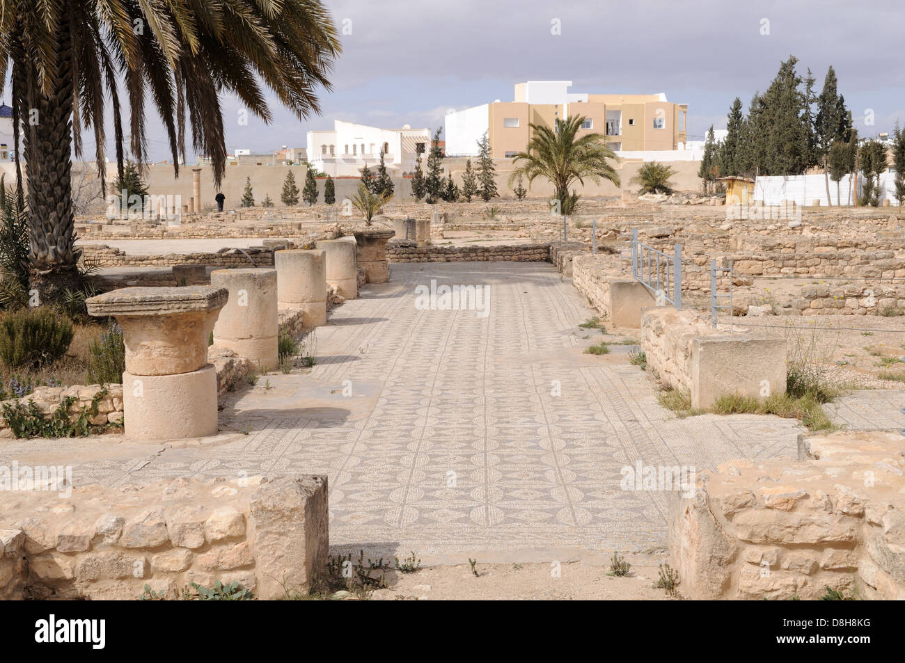 Mosaïque dans le parc d'El Jem ou El Djem Musée Archéologique Tunisie ...