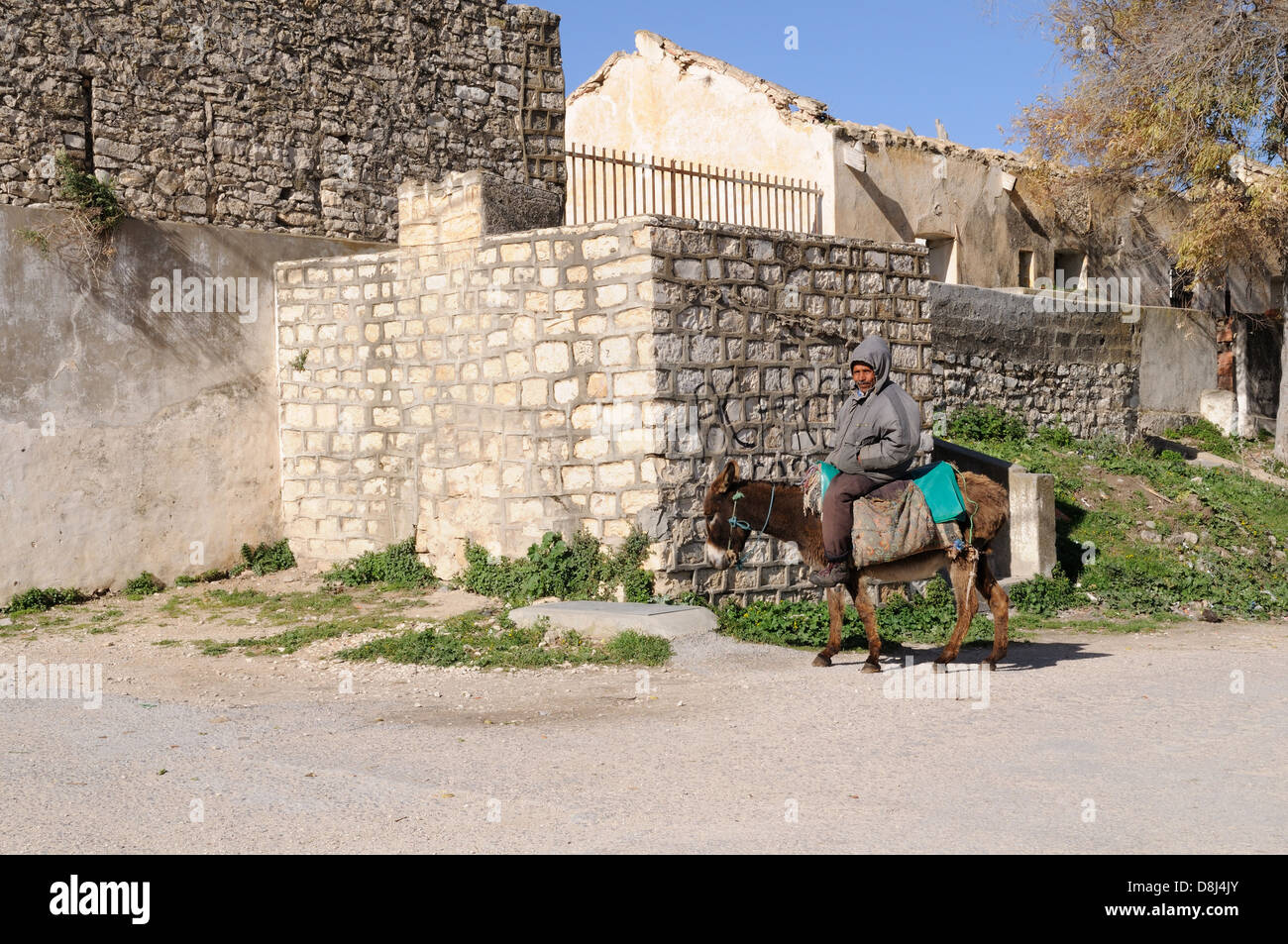Donkey tunisian Banque de photographies et d’images à haute résolution - Alamy