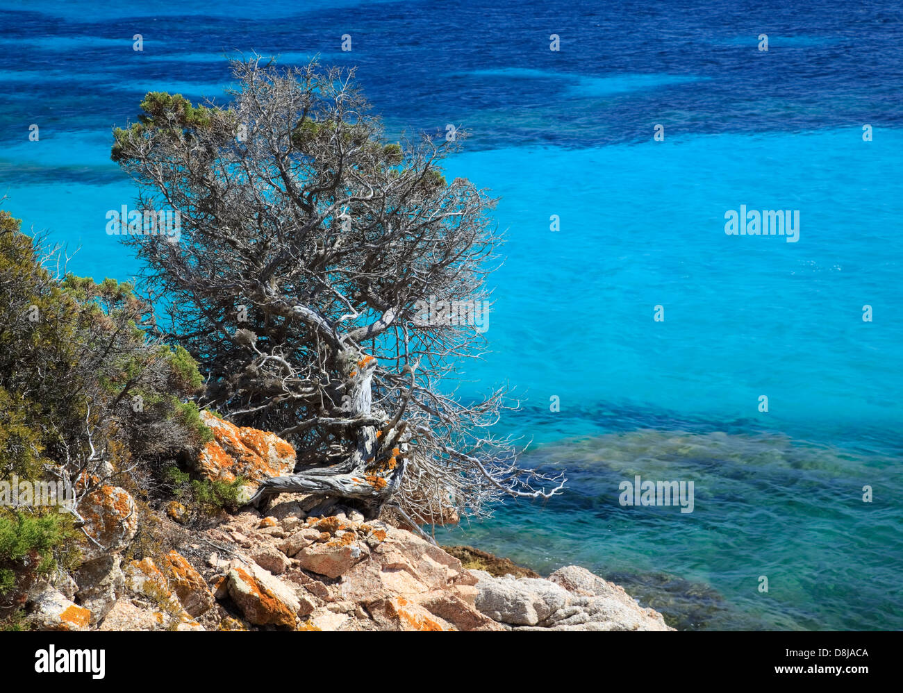 Mer Méditerranée, Corse, France Photo Stock - Alamy