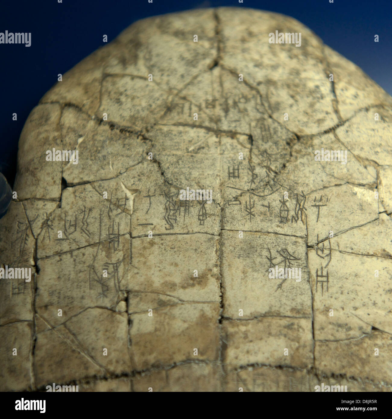 Oracle bone shang dynasty Banque de photographies et d’images à haute ...