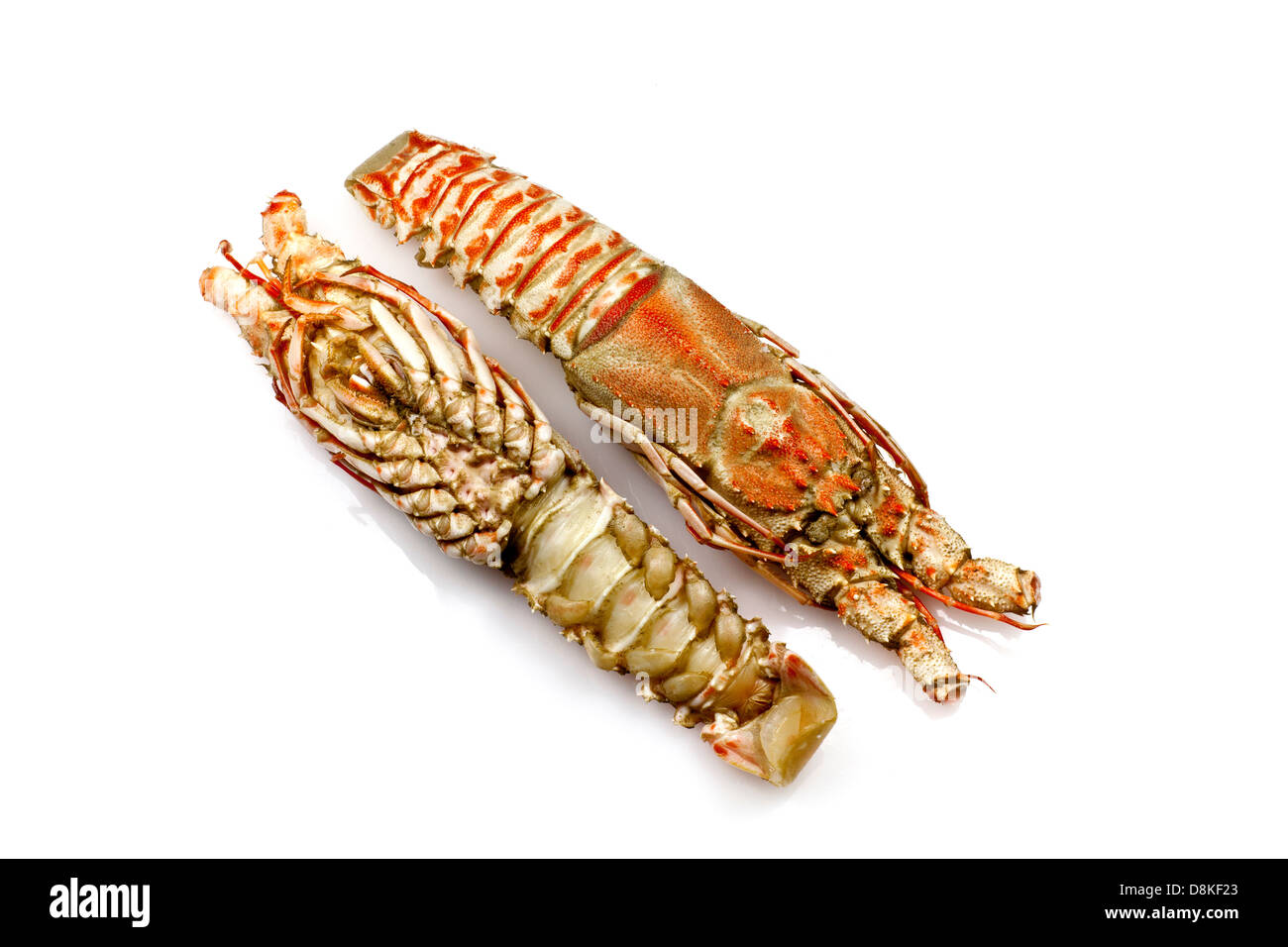 Homard carapace Banque de photographies et d’images à haute résolution ...