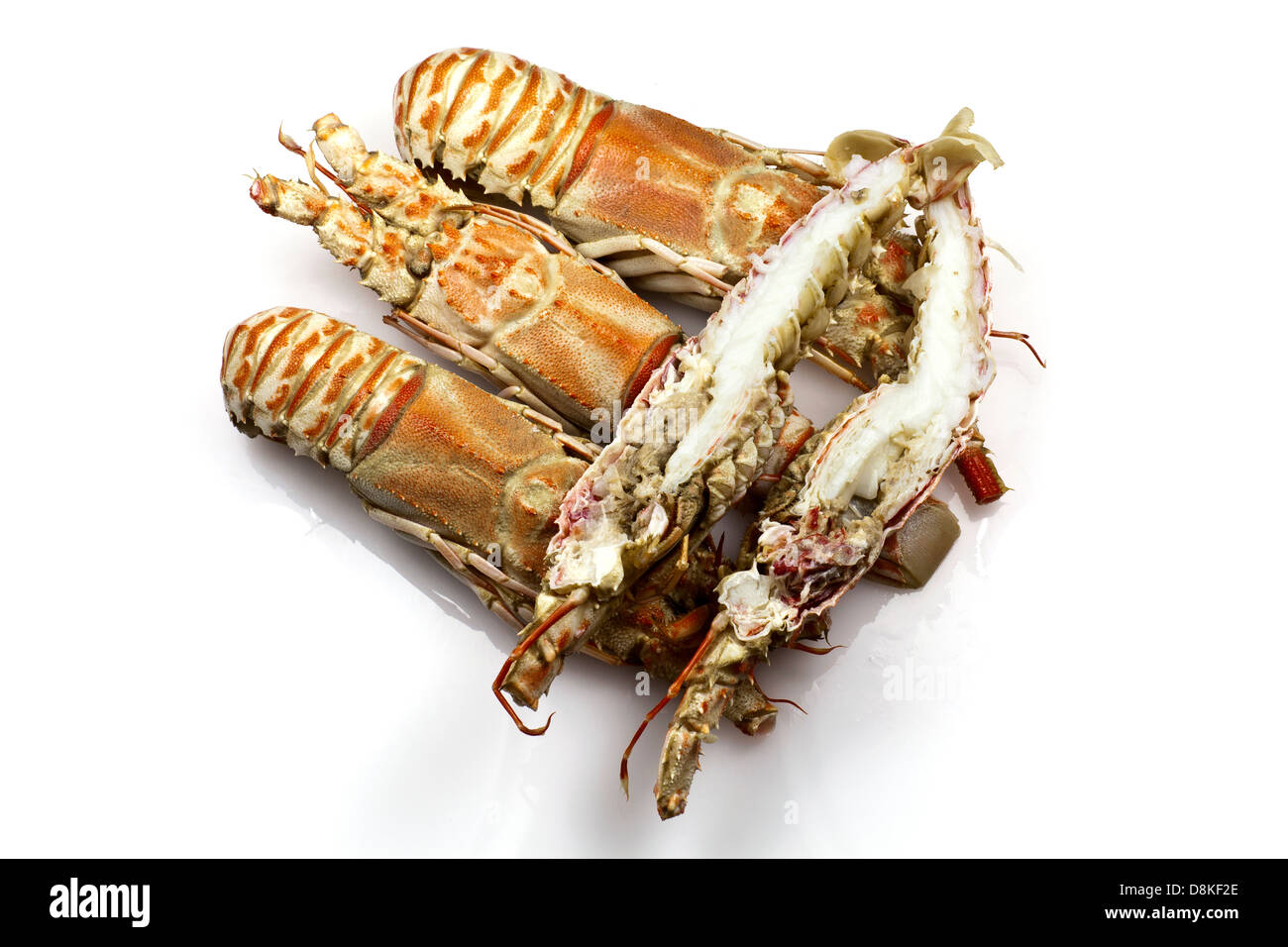 Homard carapace Banque de photographies et d’images à haute résolution ...