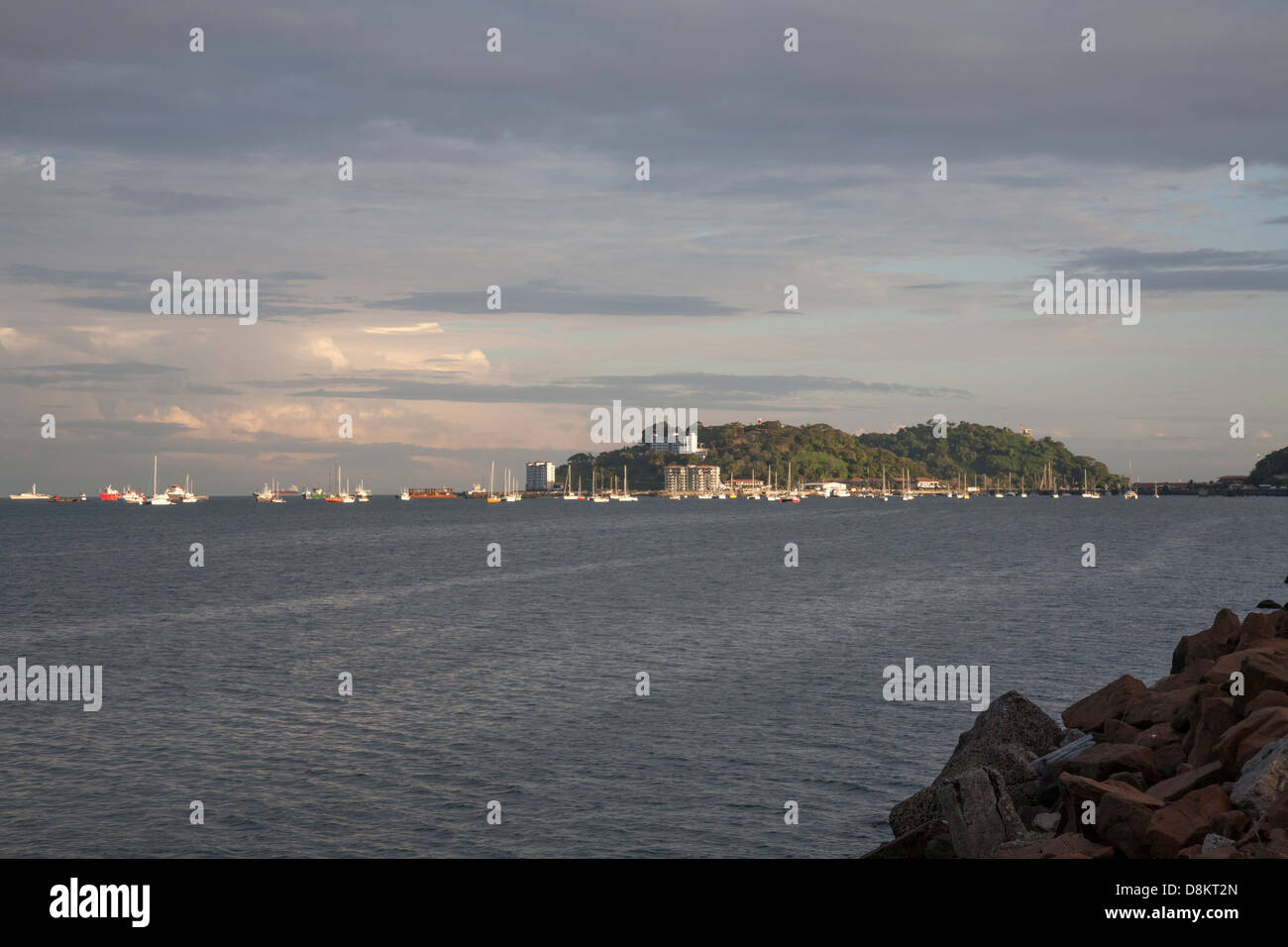 Isla perico Banque de photographies et d’images à haute résolution - Alamy