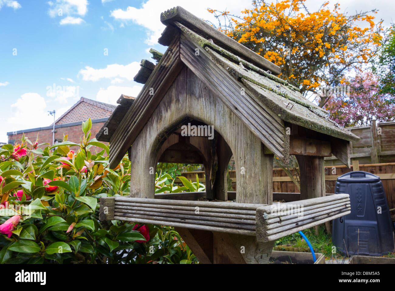 Vieux oiseau Banque de photographies et d’images à haute résolution - Alamy
