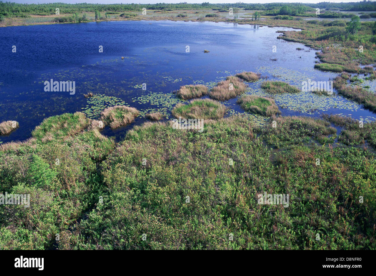 Zone humide avec des eaux peu profondes et des terres environnantes ...