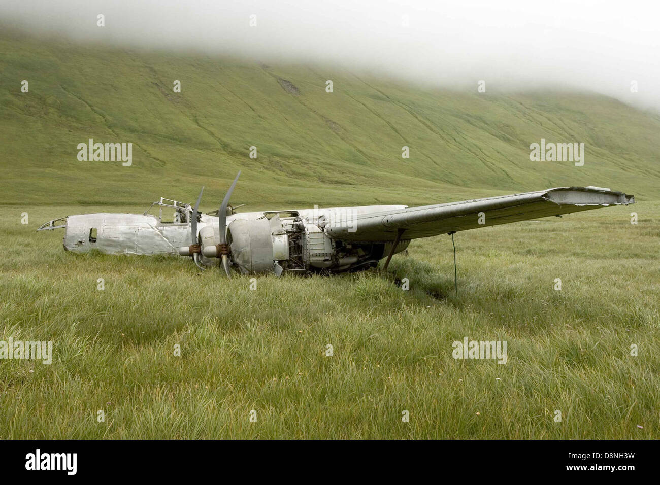 Une photographie montrant l'épave d'un avion de la seconde Guerre ...