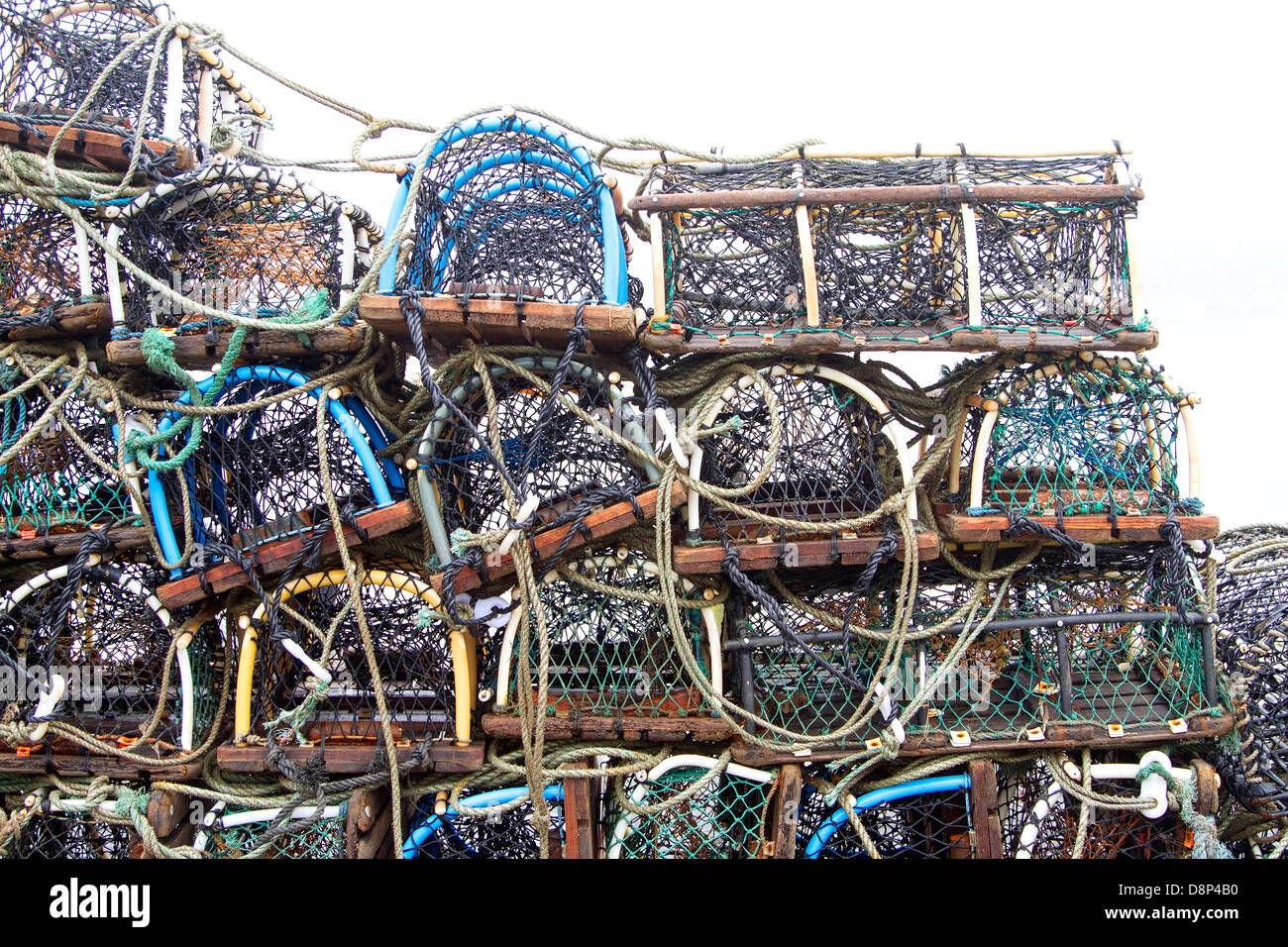 Crabe et homard Banque de photographies et d’images à haute résolution ...