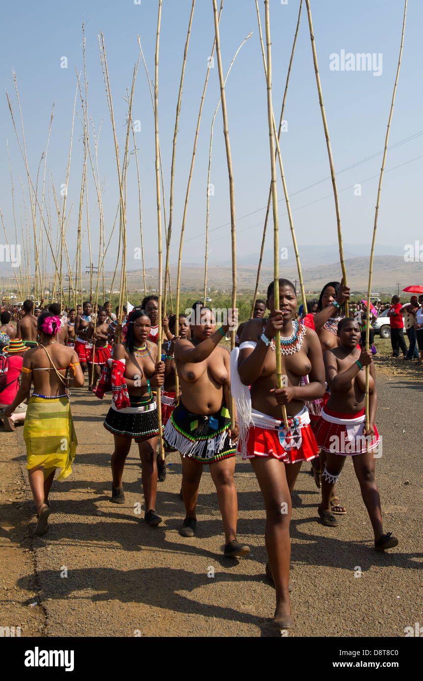 Zulu maidens livrer reed colle au roi zoulou, Reed Dance à eNyokeni ...