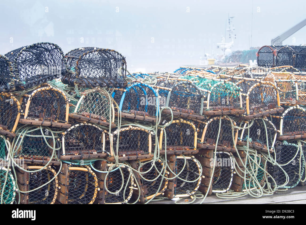 Crabe et homard Banque de photographies et d’images à haute résolution ...