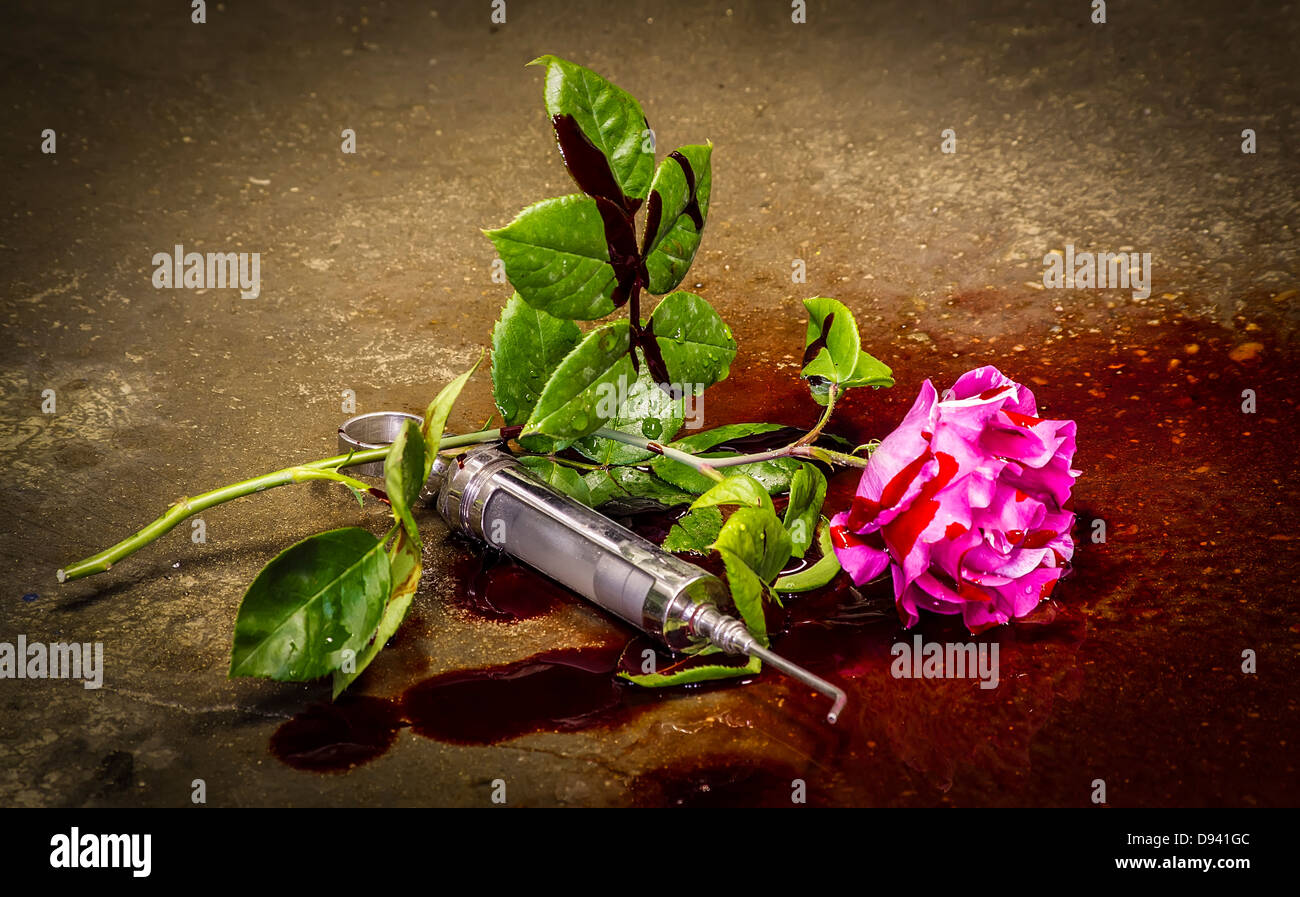 Rose rouge sang Banque de photographies et d’images à haute résolution ...