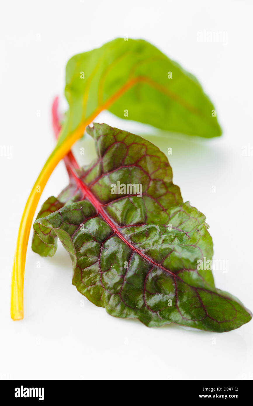 Feuilles de blette Banque de photographies et d’images à haute ...