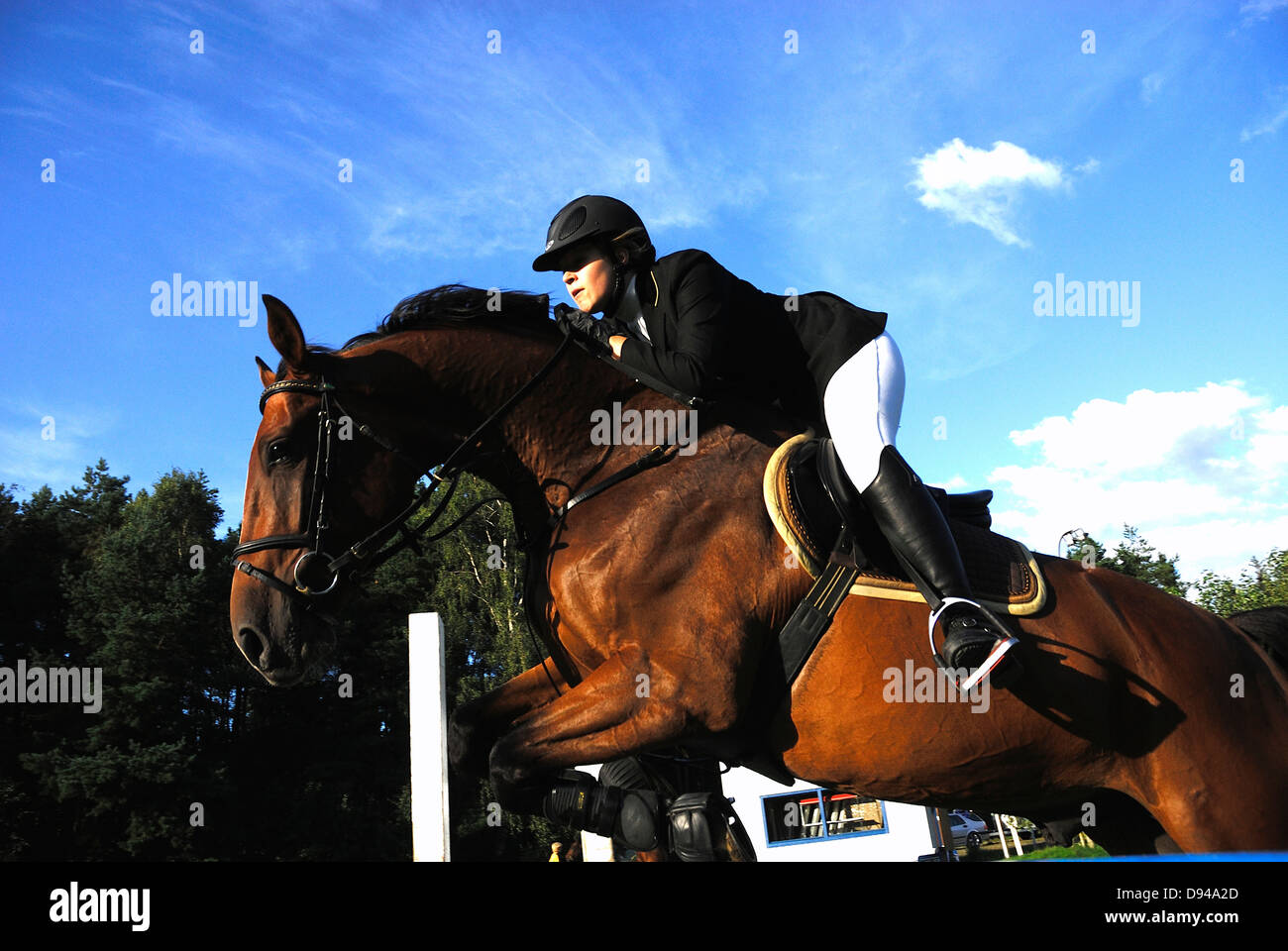Cavalier de saut de cheval Banque de photographies et d’images à haute ...