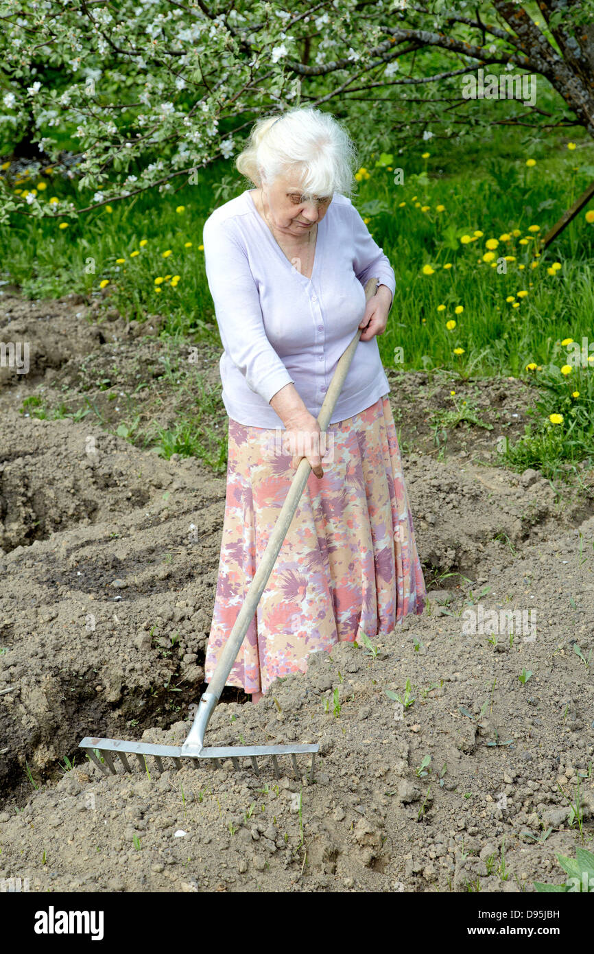Old granny Banque de photographies et d’images à haute résolution - Alamy