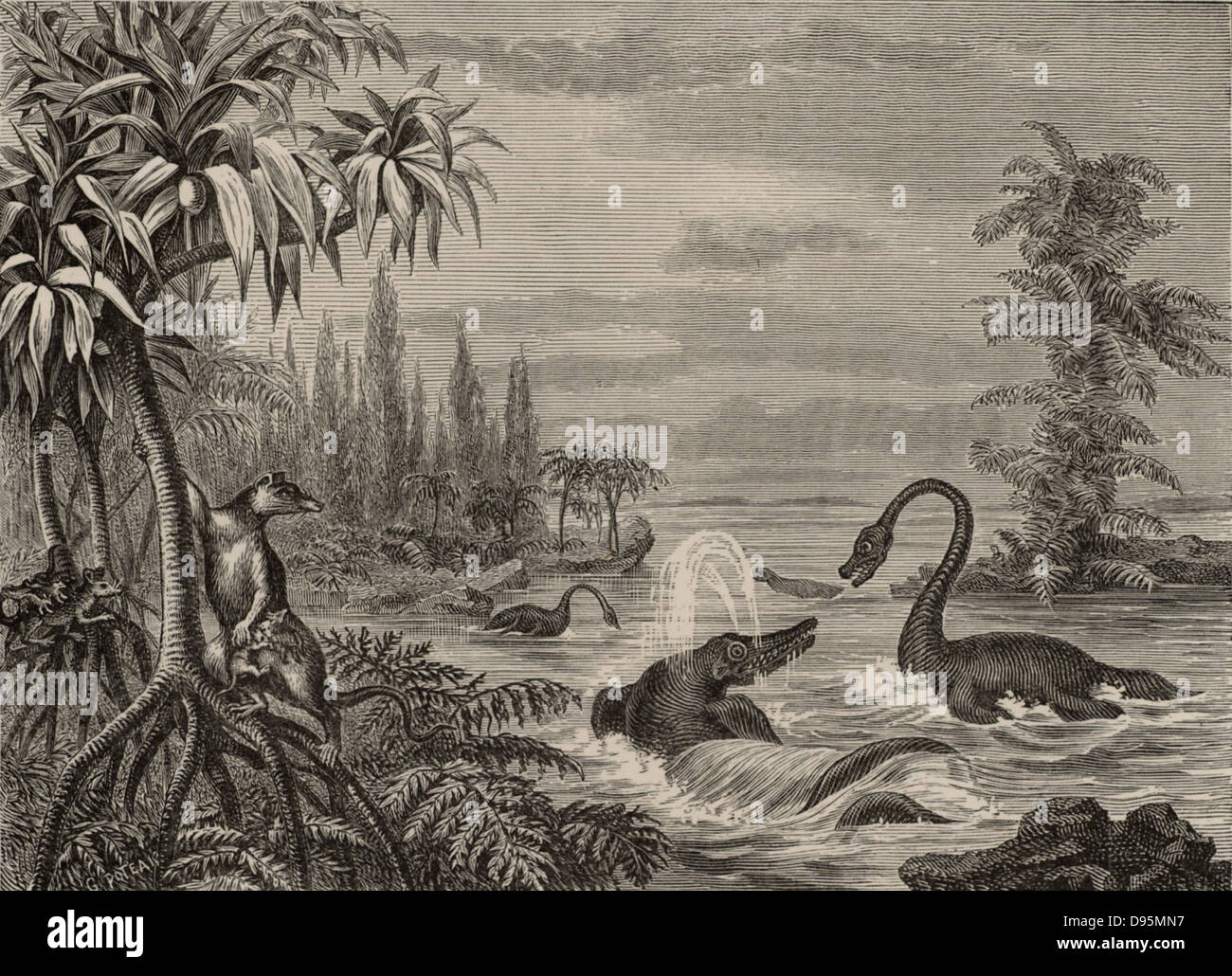 Ichthyosaurus plesiosaurus Banque de photographies et d’images à haute ...