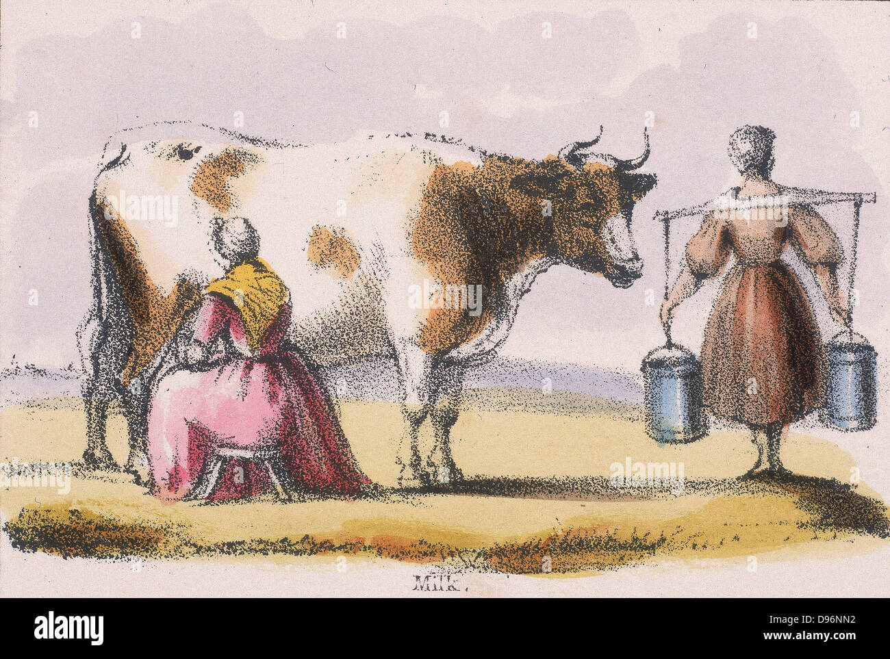 Vaches au joug Banque de photographies et d’images à haute résolution ...