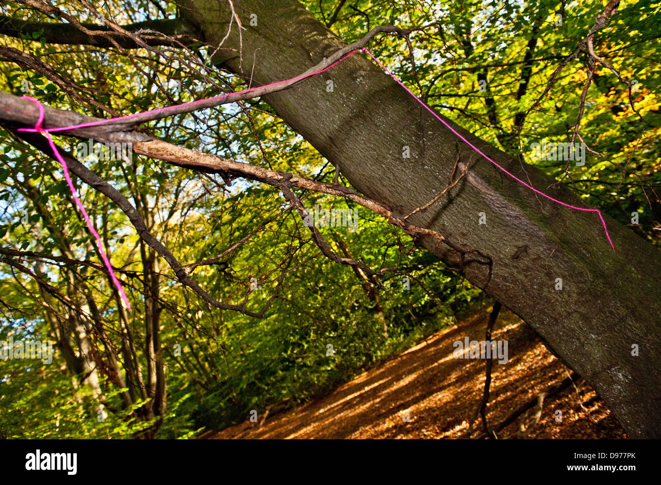 Inscriptions païennes … Deborah Harding, la sorcière blanche et ...