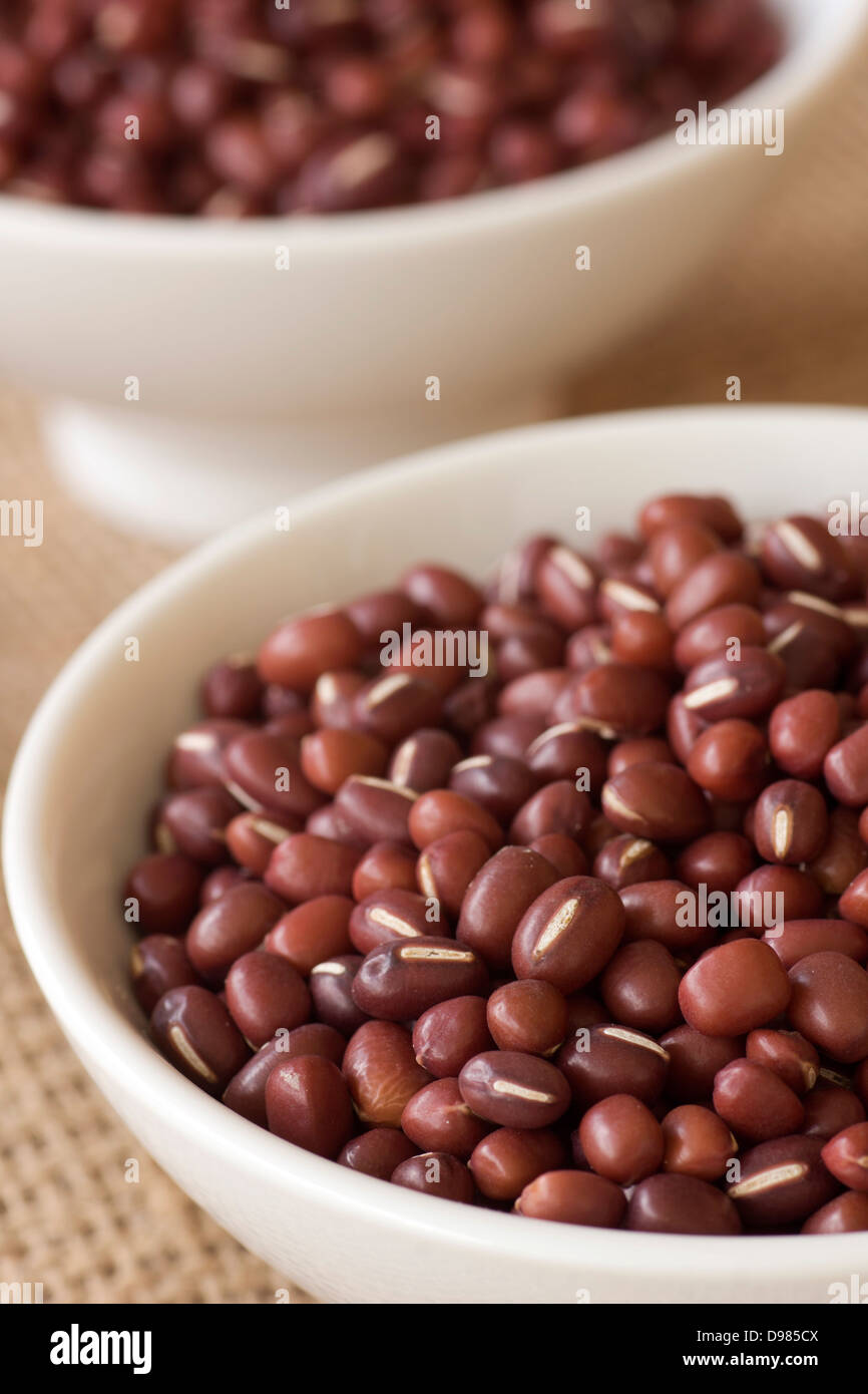 Haricots adzuki aussi azuki ou aduki Banque de photographies et d ...