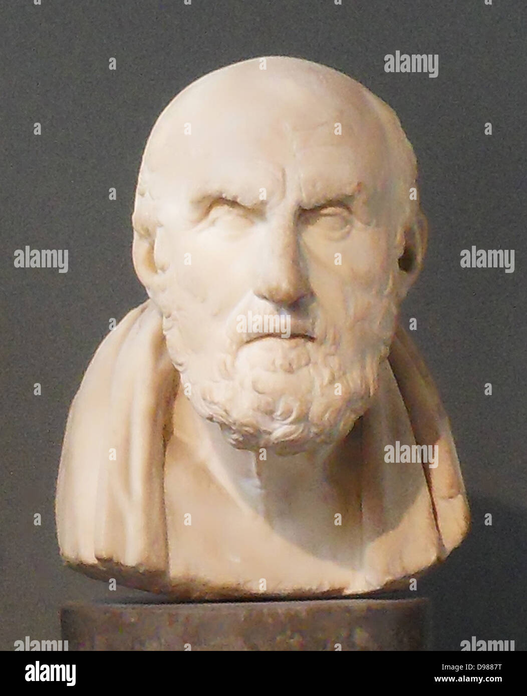 Chrysippus de soli Banque de photographies et d’images à haute ...