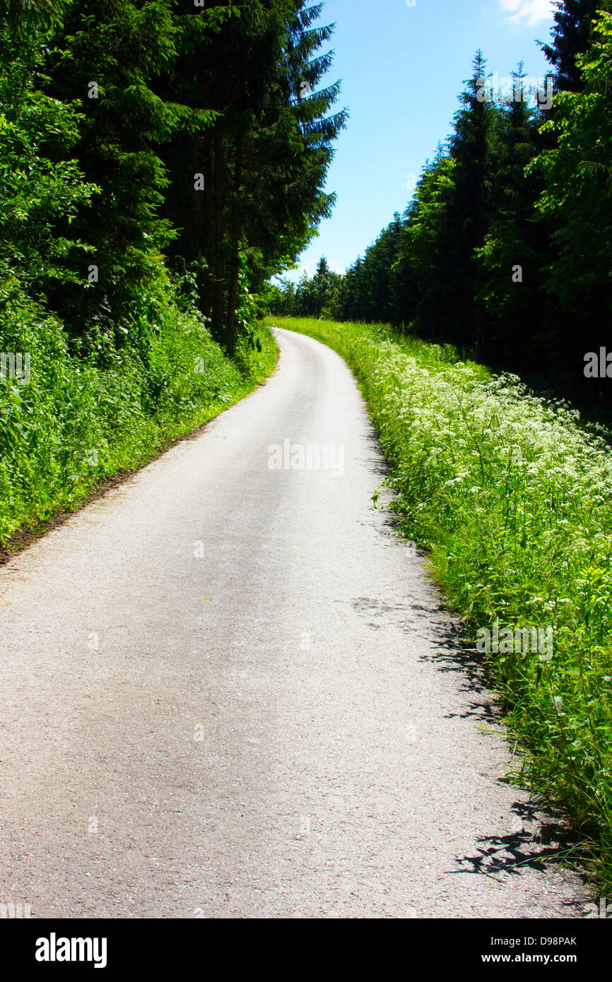 Sentier magnifique Banque de photographies et d’images à haute ...