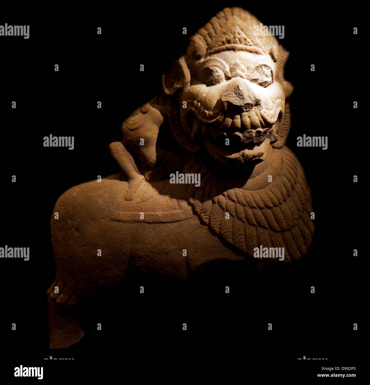 Lion passant Banque de photographies et d’images à haute résolution - Alamy