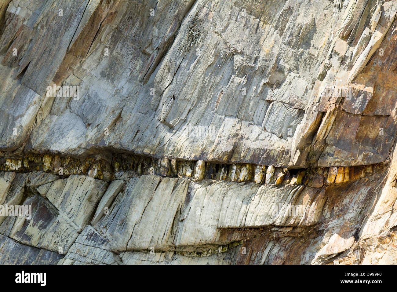 Schiste metamorphique Banque de photographies et d’images à haute ...