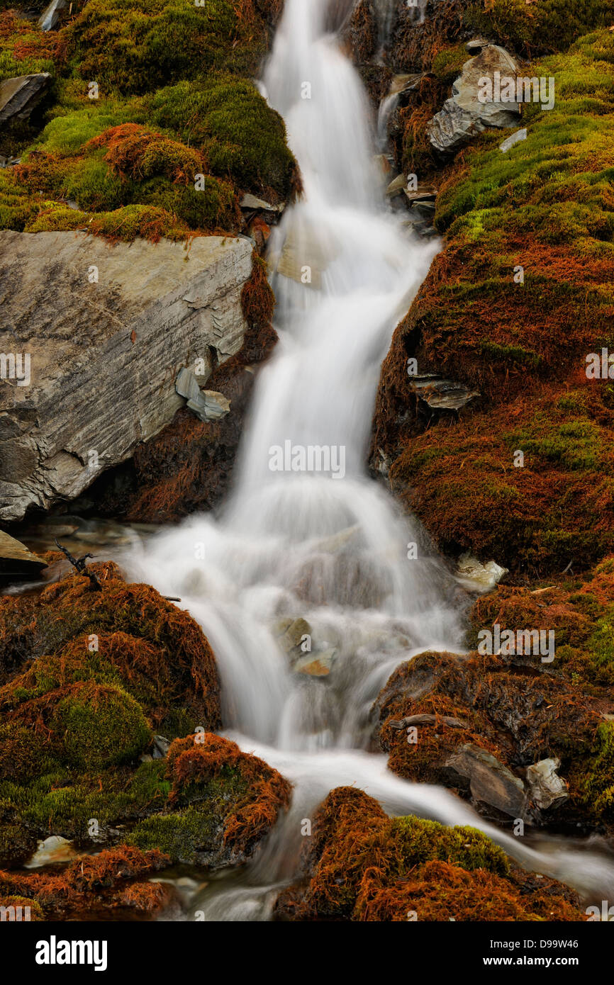 Ruissellement De Fonte Des Neiges Banque d'image et photos - Alamy