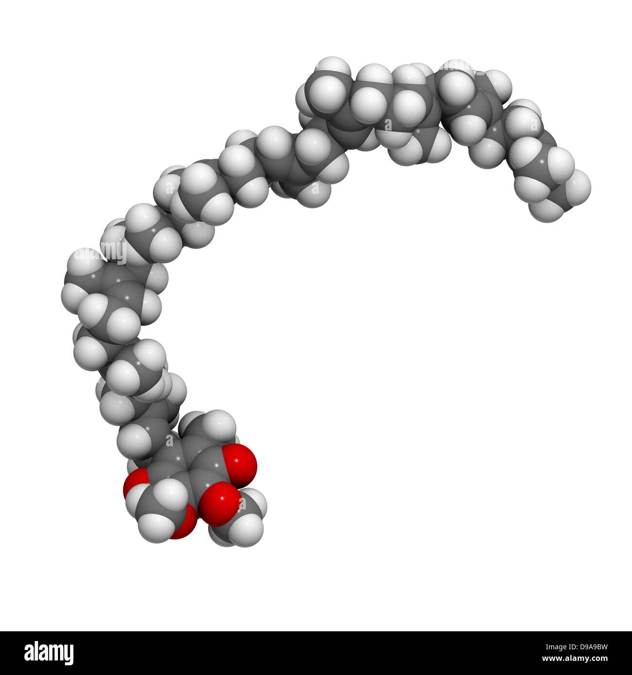 La coenzyme Q10 (Ubiquinone) molécule, la structure chimique Photo ...