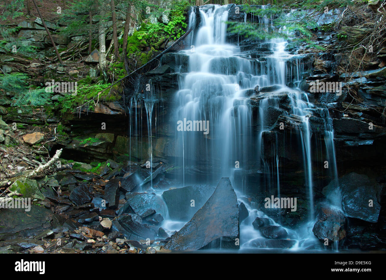 DUTCHMAN FALLS LOYALSOCK CREEK LOYALSOCK STATE FOREST SULLIVAN COUNTY ...