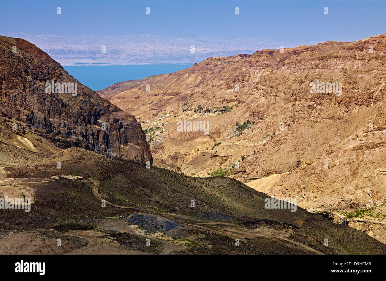 Ain zarqa Banque de photographies et d’images à haute résolution - Alamy