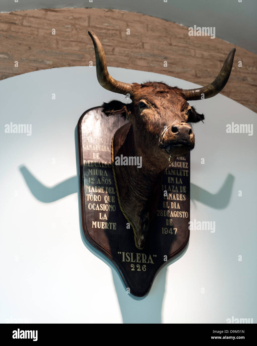 La tête d'un taureau accroché au mur à Plaza de Toros à Séville ...